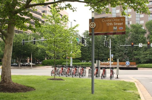 Crystal City Parks | The Goodhart Group