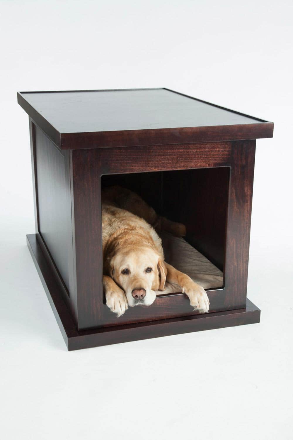 The Best Smart Products for Your Pet: Our Top Six | The Goodhart Group