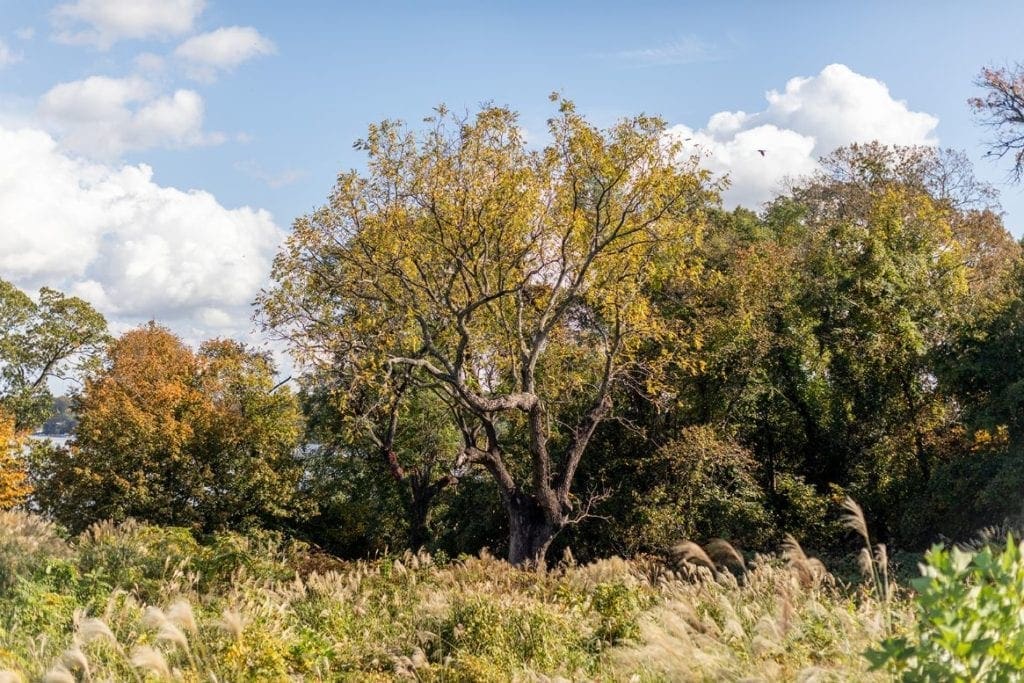 River Farm | Alexandria, VA - The Goodhart Group